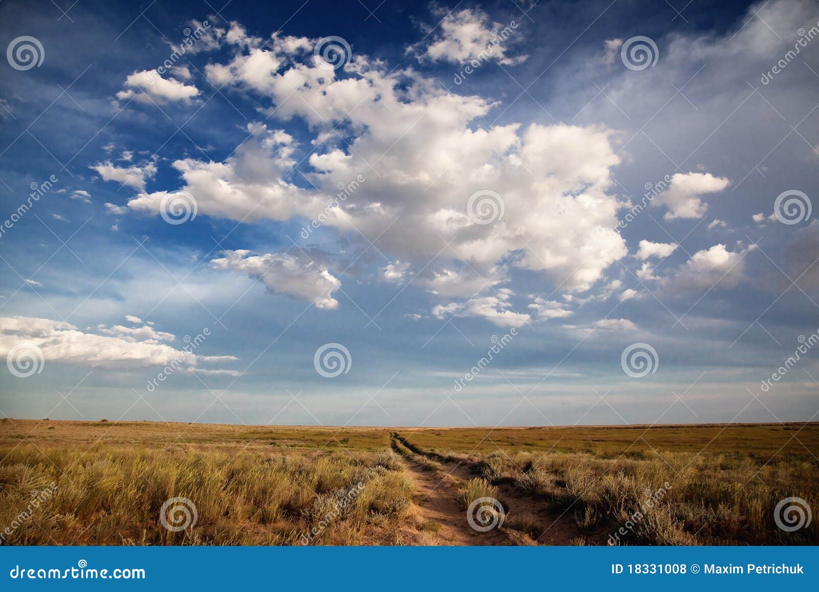 Steppe landscape stock photo. Image of bush, yellow, veldt - 18331008