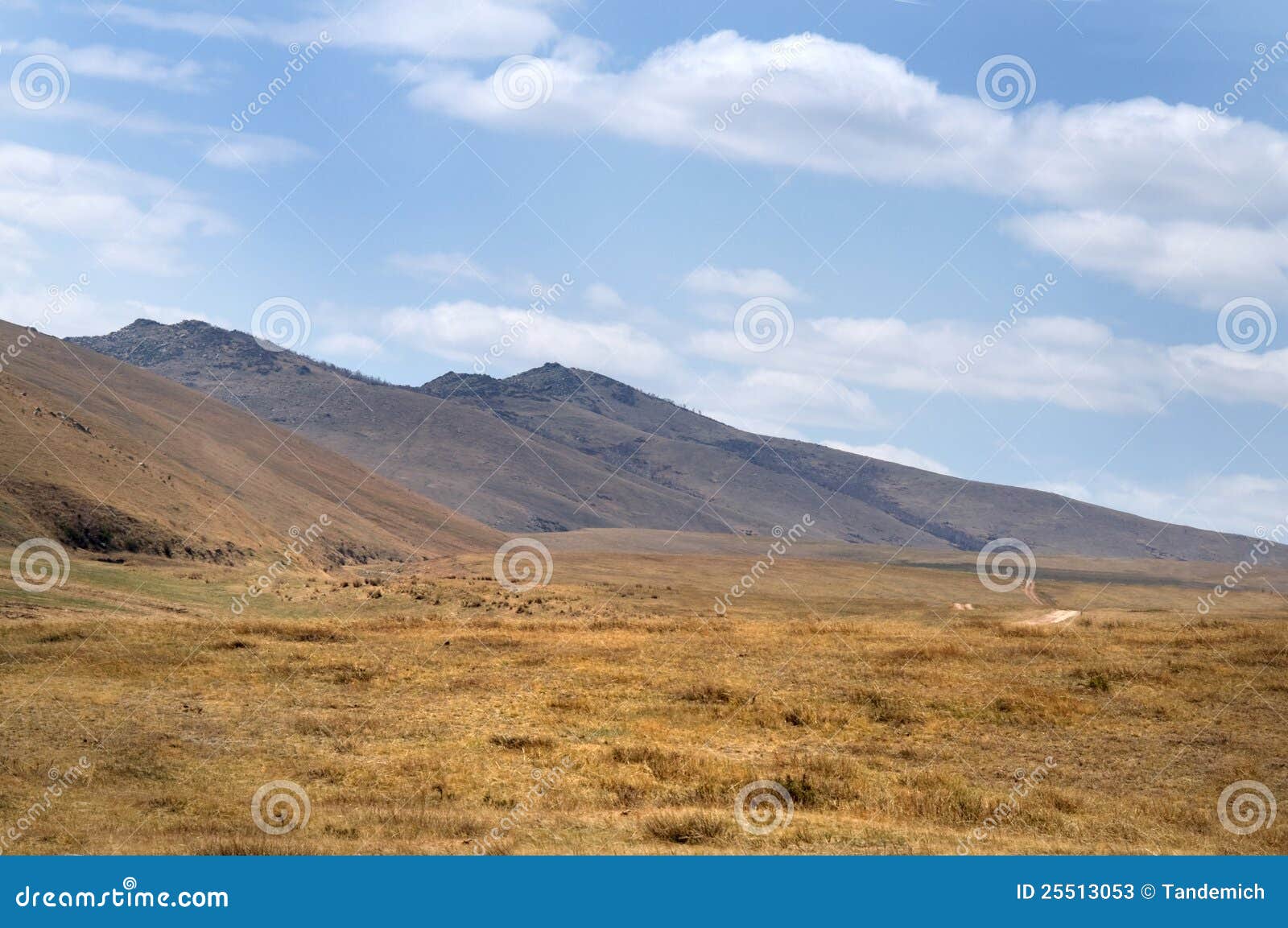 Steppe landscape stock image. Image of dune, desert, savanna - 25513053