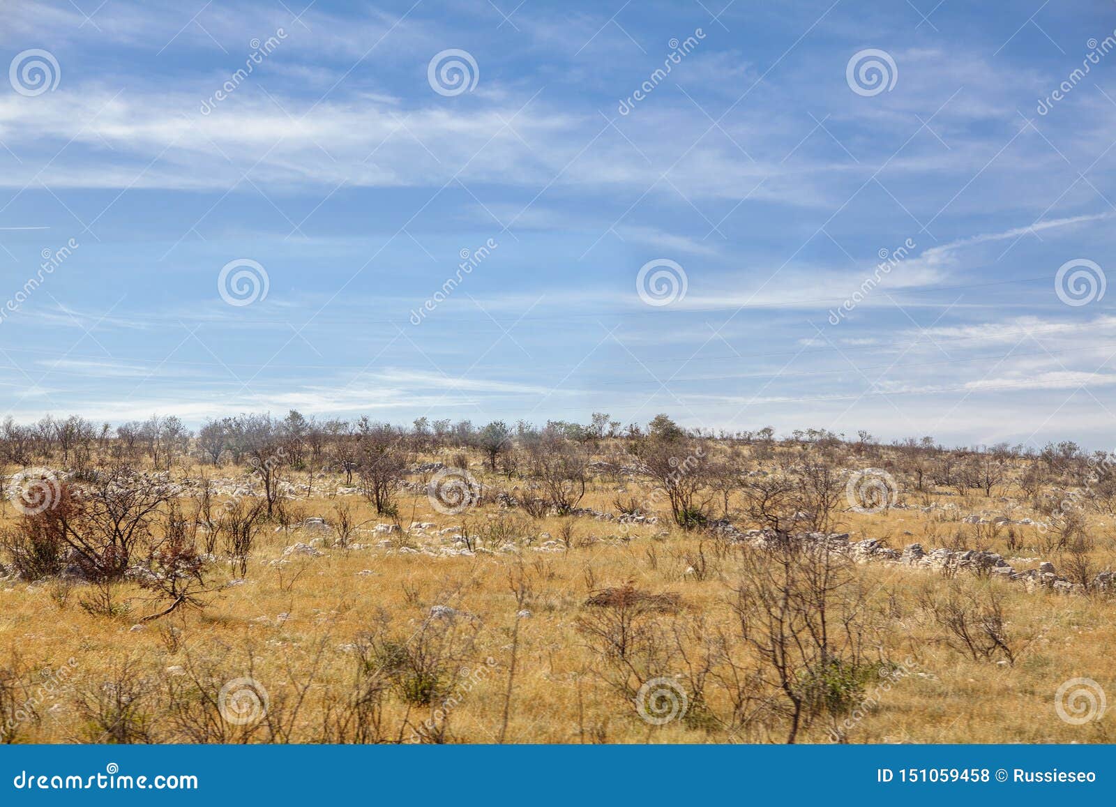 Steppe nature stock photo. Image of nature, season, grass - 151059458