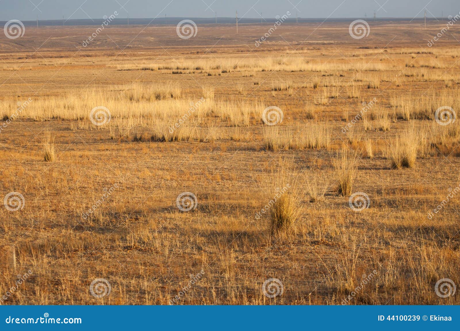 Steppe stock image. Image of mountains, green, roof, desert - 44100239
