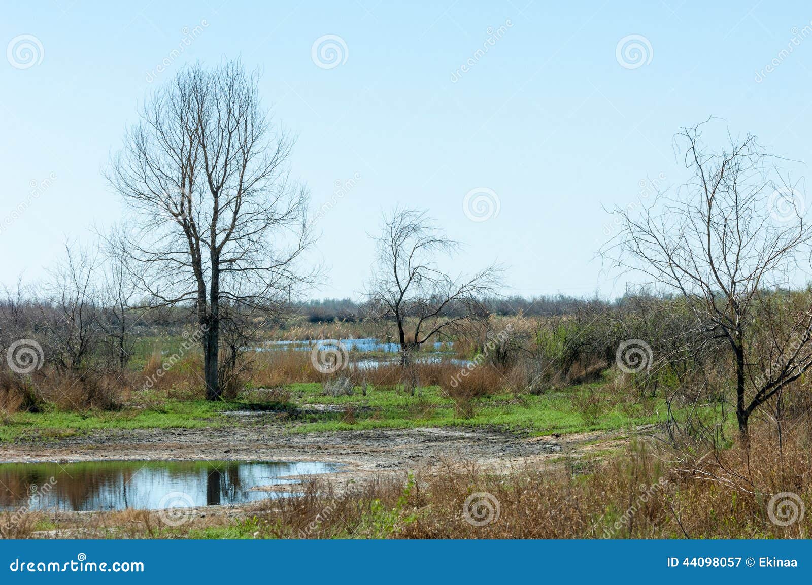 Steppe, Prairie, Veld, Veldt Stock Image - Image of landscape, road ...
