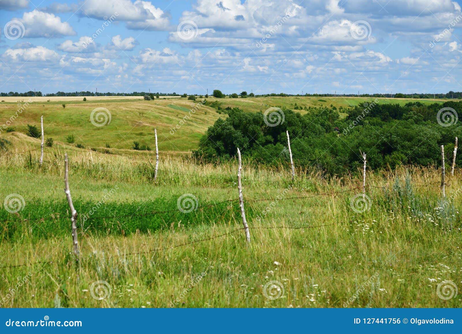 Steppe Rural Landscape in Russia in July Stock Photo - Image of country ...