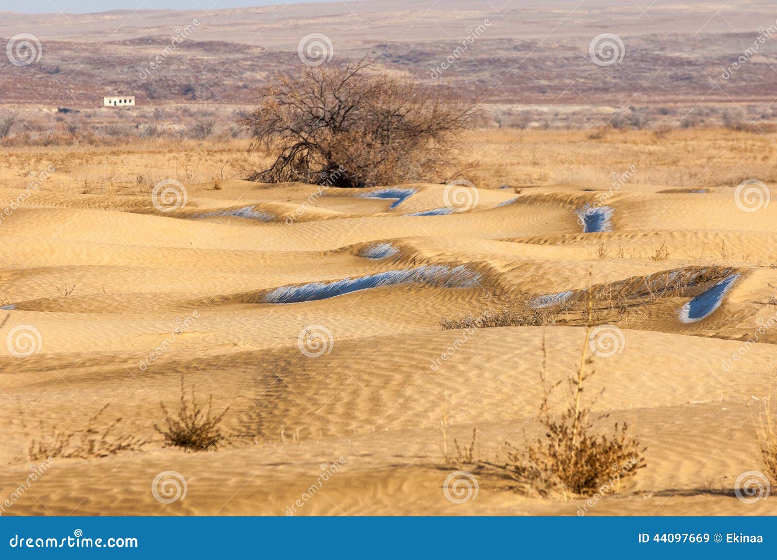 Steppe stock image. Image of desert, path, pathway, shrubbery - 44097669
