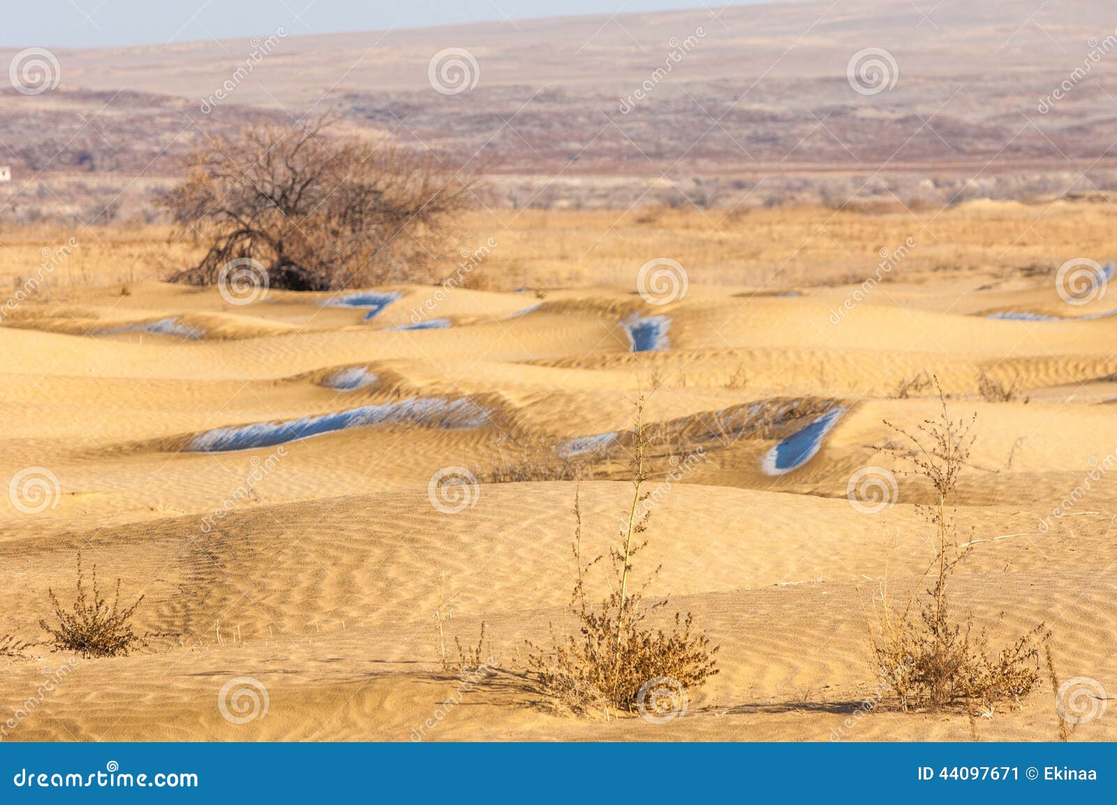 Steppe stock image. Image of palate, boscage, brushwood - 44097671