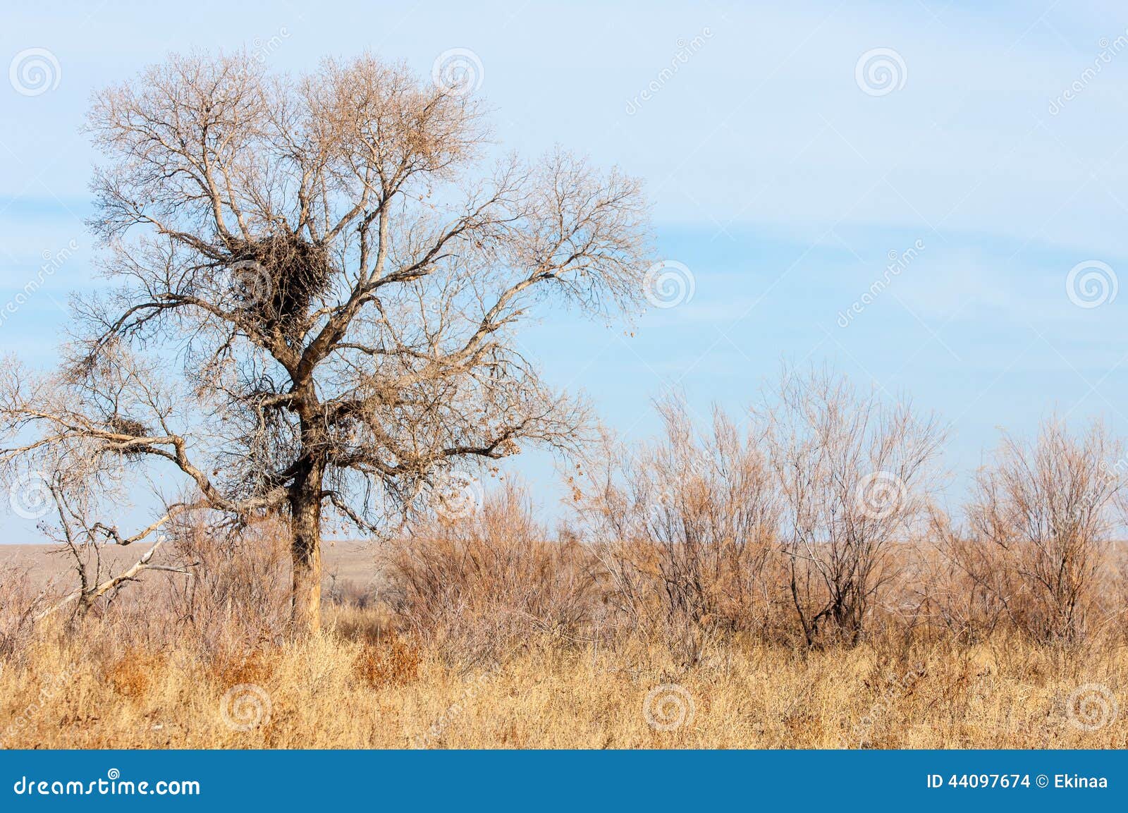 Steppe stock photo. Image of blue, boscage, steppe, roof - 44097674