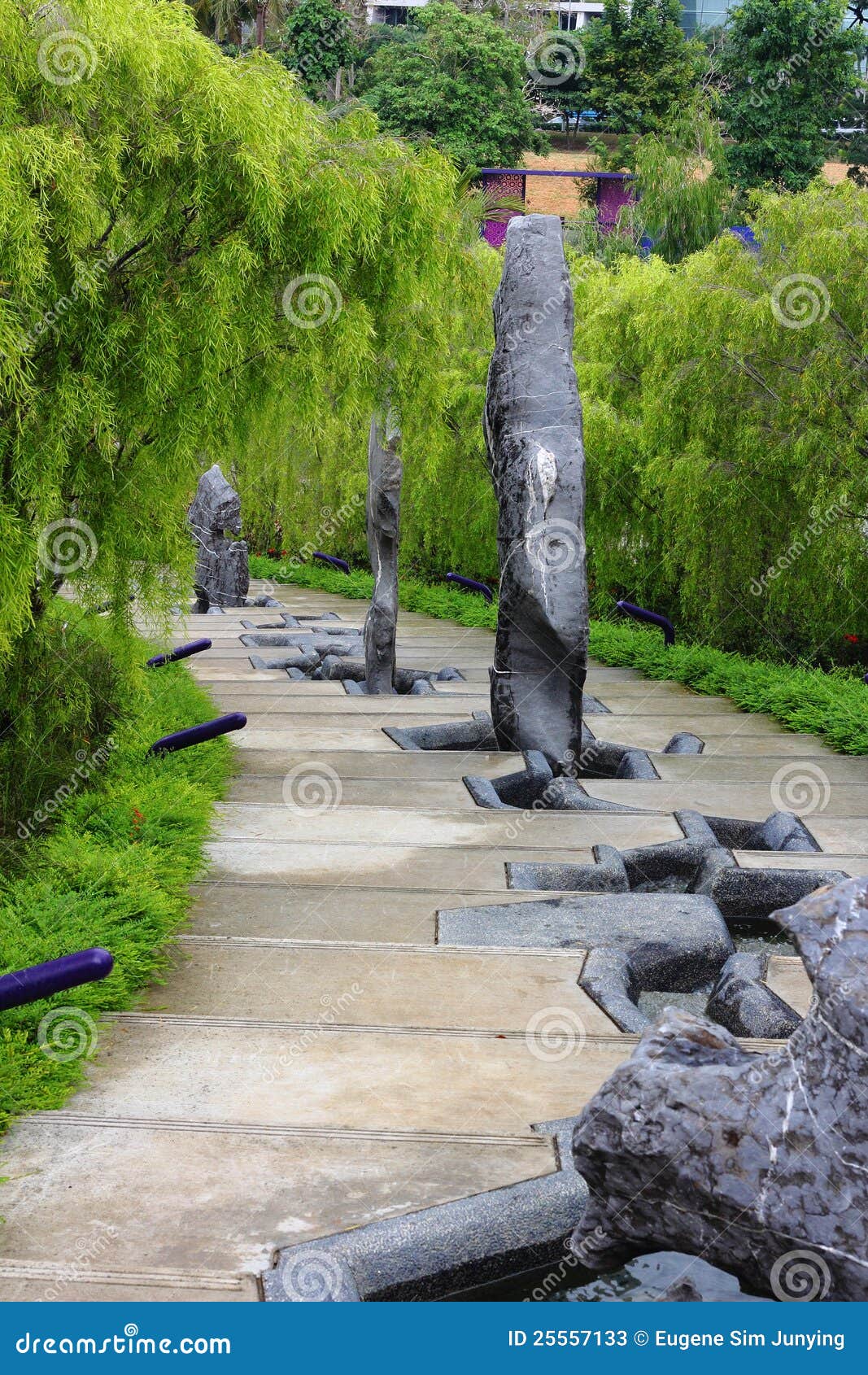 Stepped path in garden stock image. Image of steps, garden - 25557133