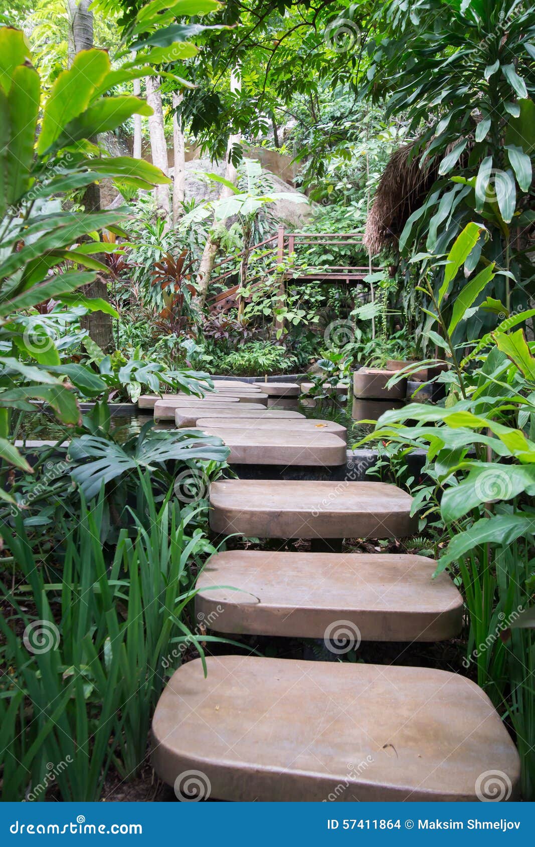 Stepped Path through the Thai Nature Stock Photo - Image of leaf ...