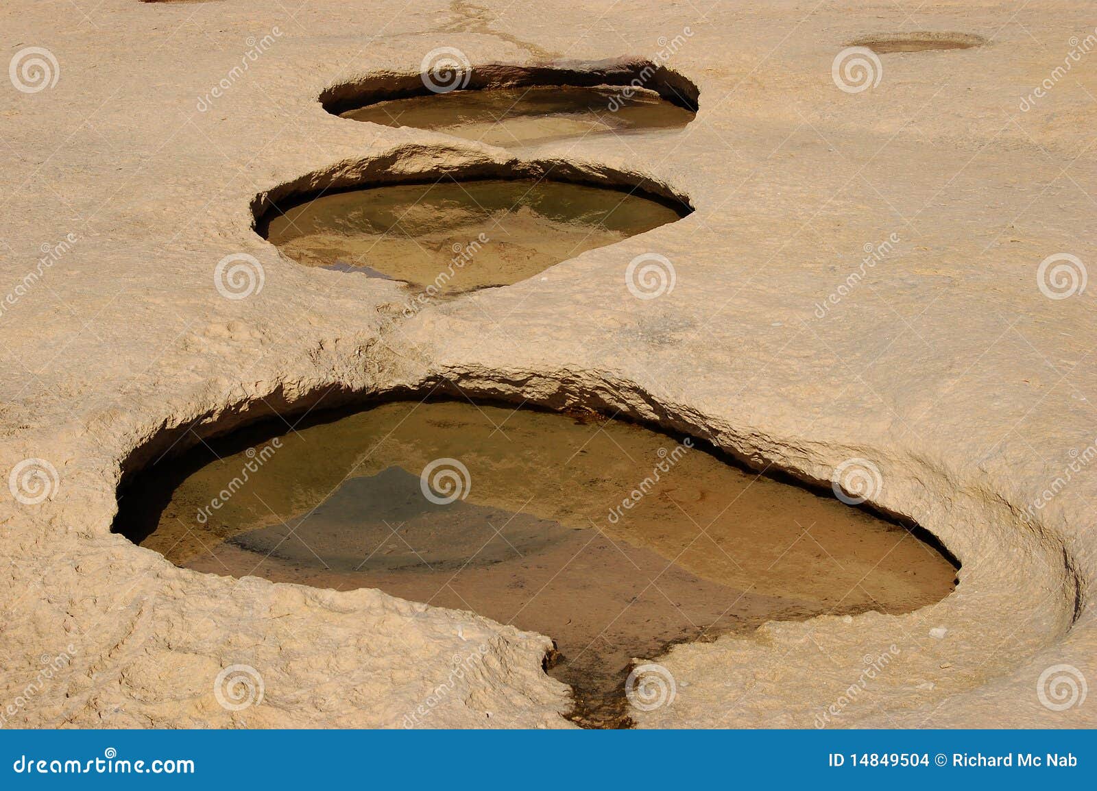 Stepped Puddle s stock photo. Image of bird, rock, rain - 14849504