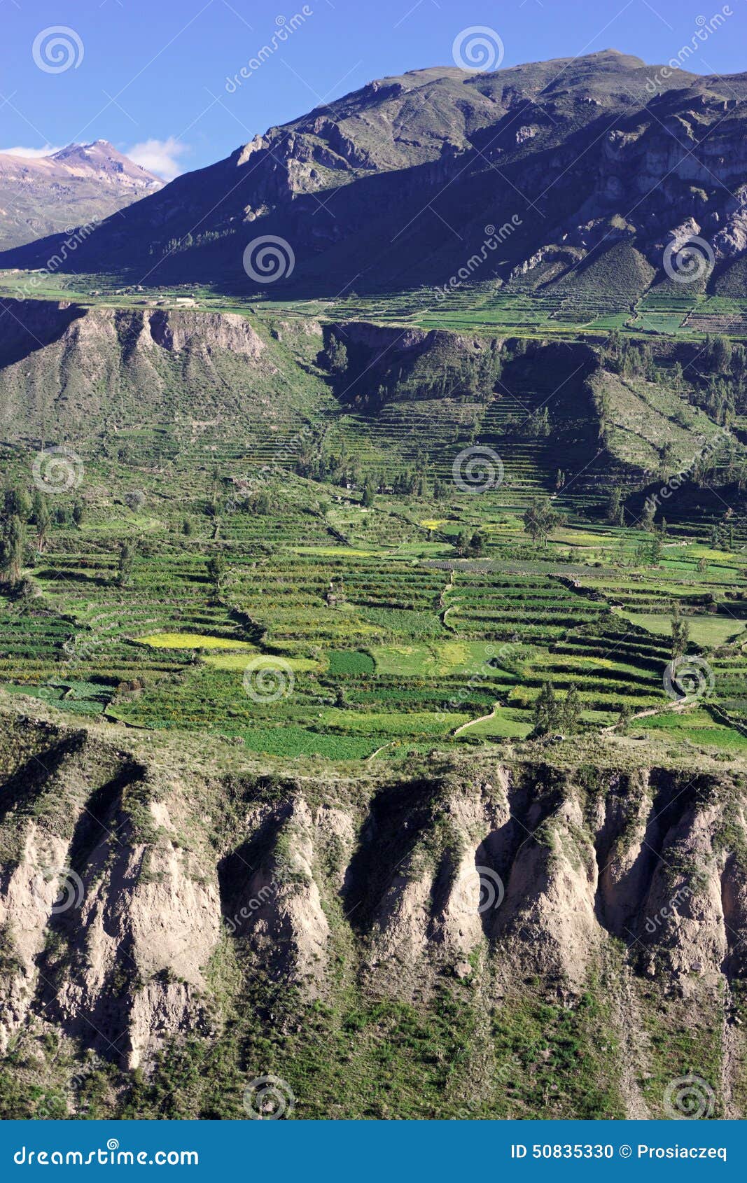 Stepped Terraces in Colca Canyon in Peru Stock Photo - Image of outdoor ...