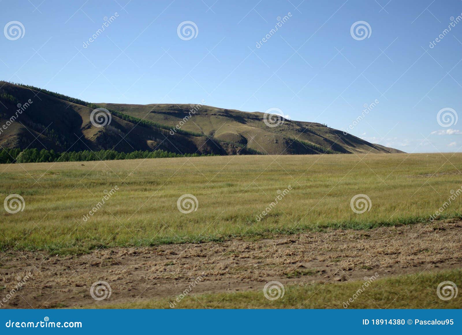 Steppes in Mongolia stock photo. Image of mountain, autumn - 18914380