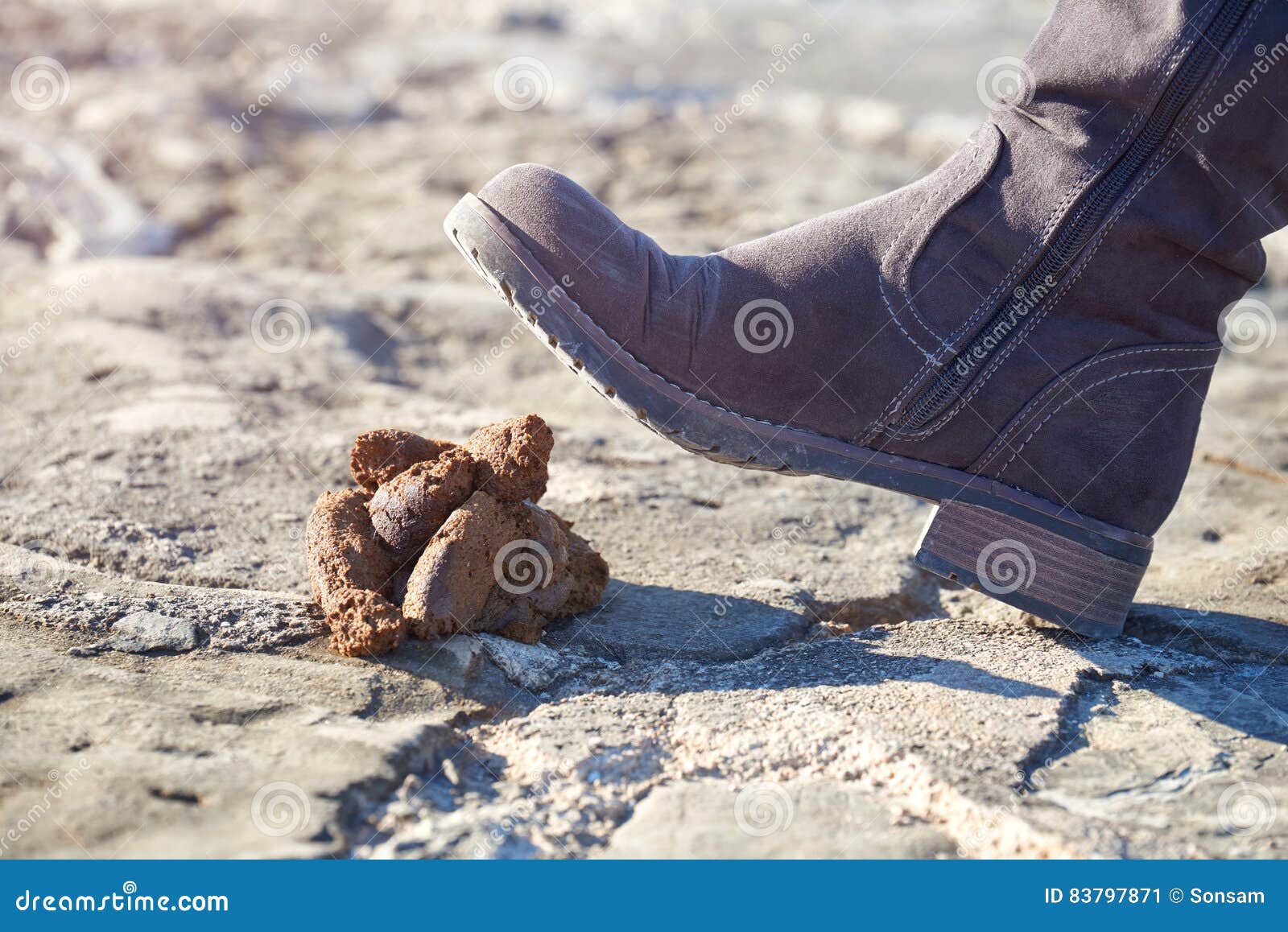 Dog Shit Royalty-Free Stock Photography | CartoonDealer.com #53903579