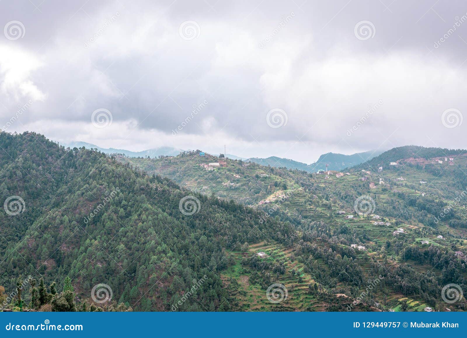 Stepping Fields in Himalayas Stock Image - Image of plantation, asian ...