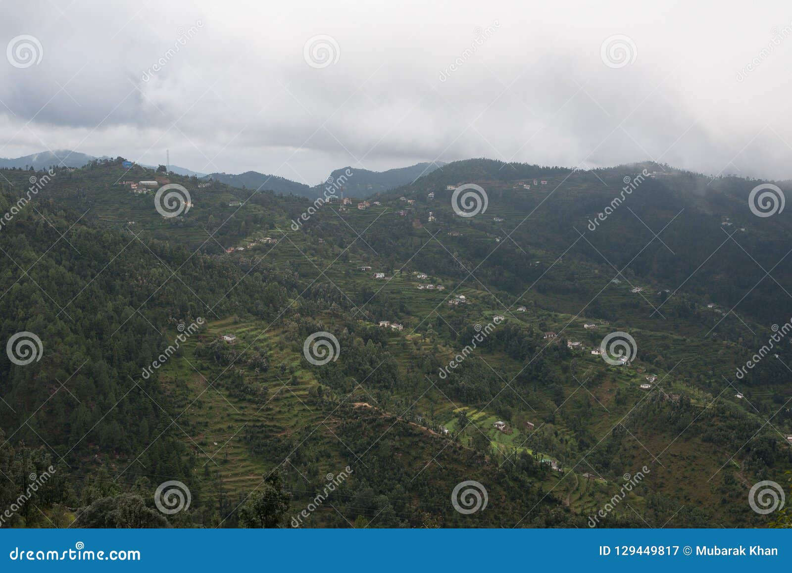 Stepping Fields in Himalayas Stock Image - Image of field, terraced ...
