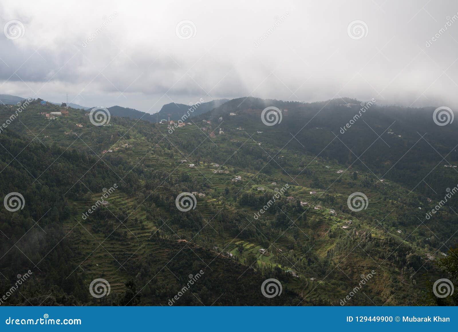Stepping Fields in Himalayas Editorial Image - Image of ground, field ...