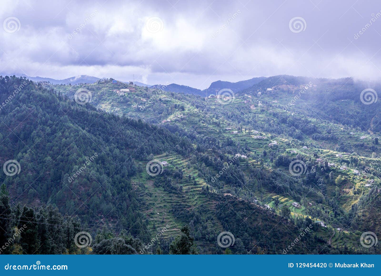 Stepping Fields in Himalayas Stock Photo - Image of asian, plant: 129454420