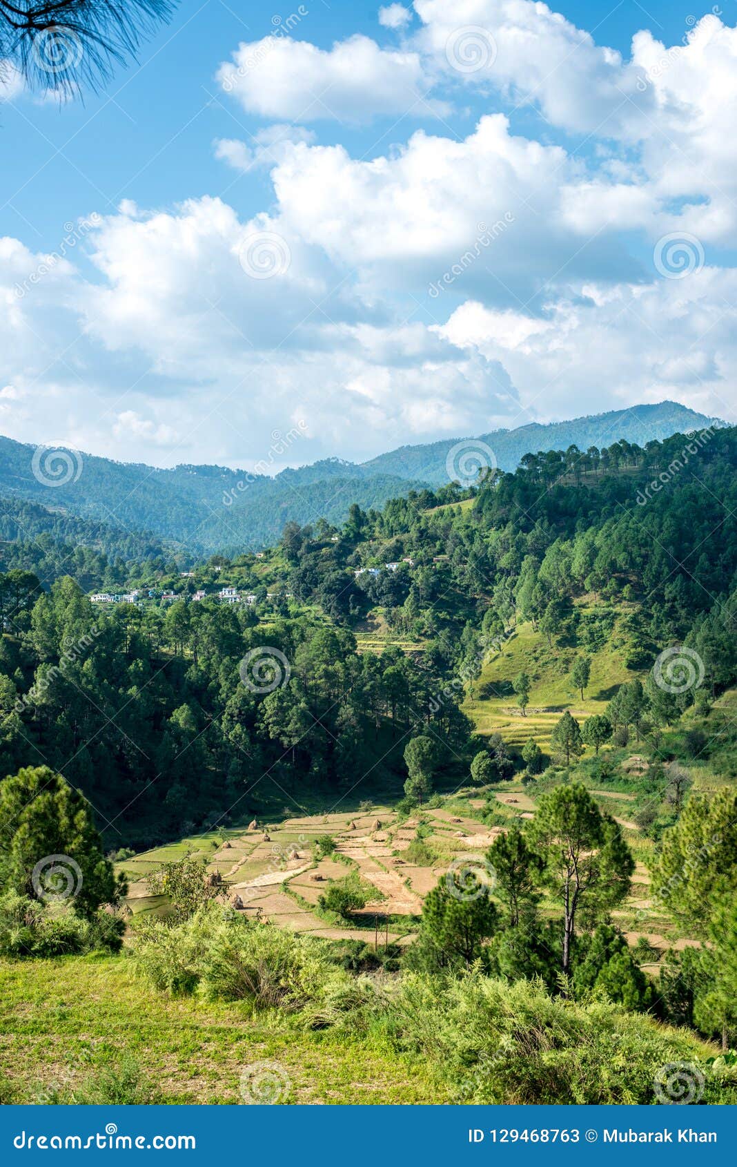 Stepping Fields in Mountains Stock Image - Image of altitude, asian ...
