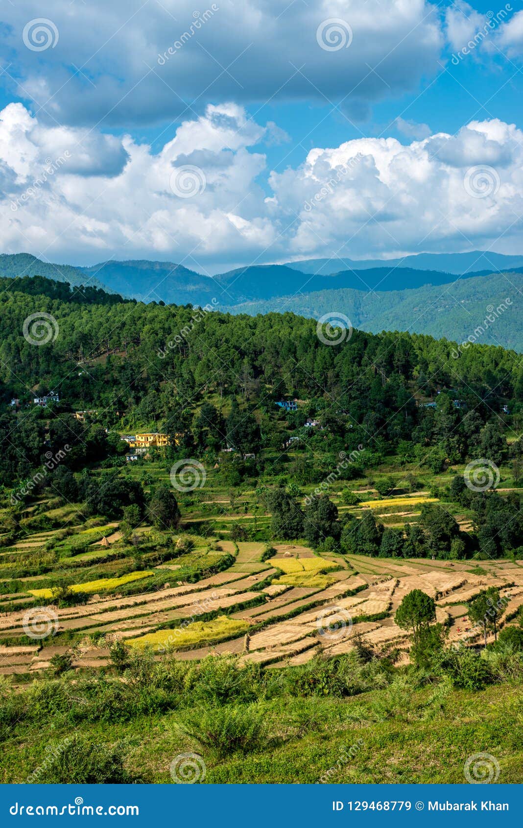 Stepping Fields in Mountains Stock Image - Image of background, indus ...