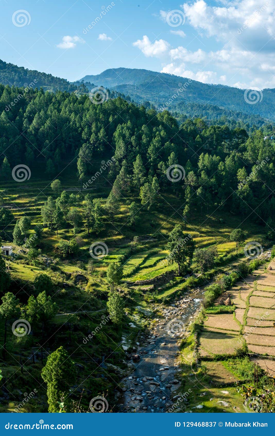 Stepping Fields in Mountains Stock Image - Image of mountains, indus ...