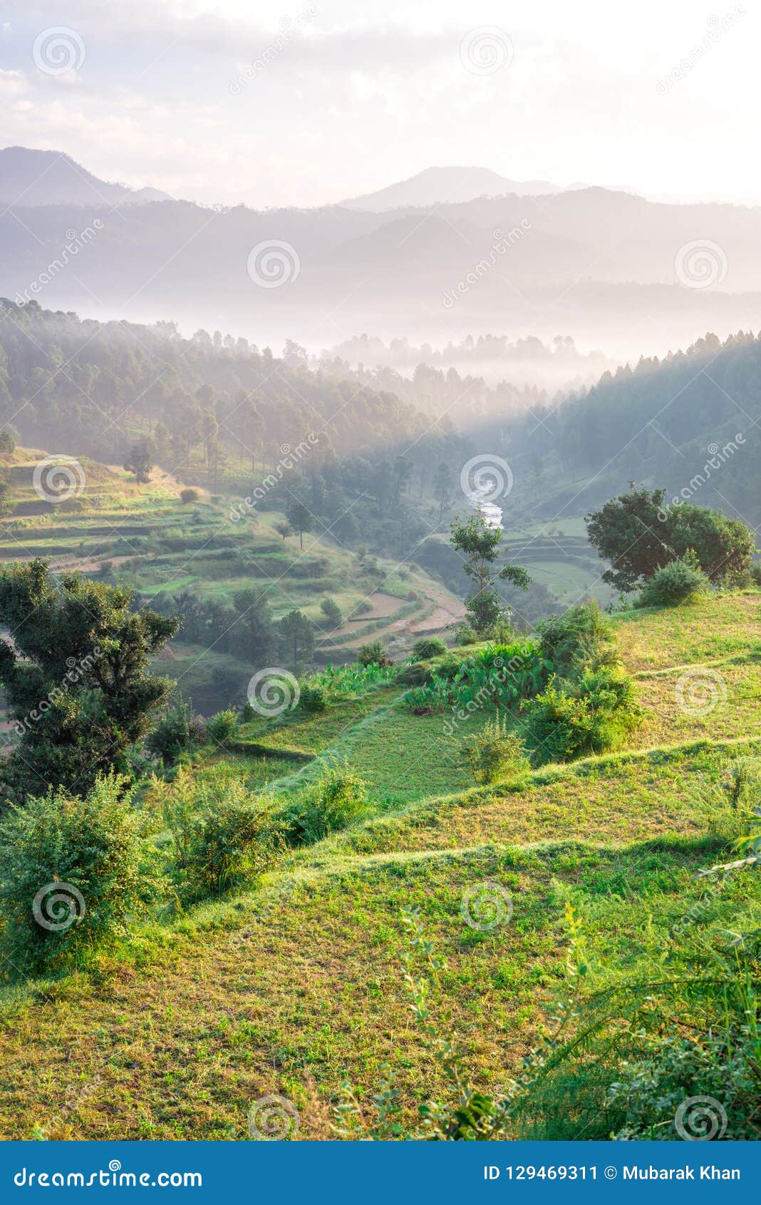 Stepping Fields in Mountains Stock Image - Image of asian, junction ...