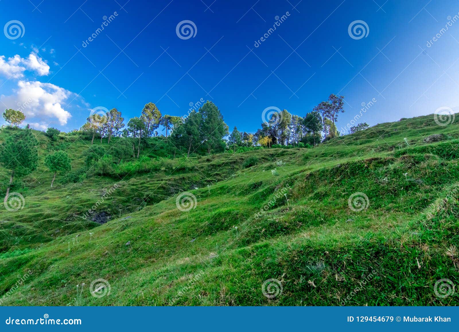 Stepping Fields in Mountains Stock Image - Image of himalaya, junction ...