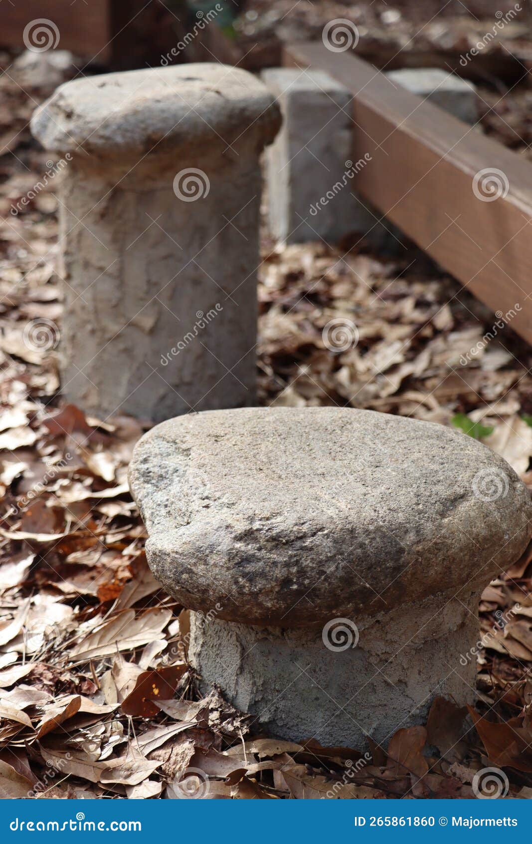 Stepping Rocks on Cement Columns Stock Photo - Image of tree, wood ...