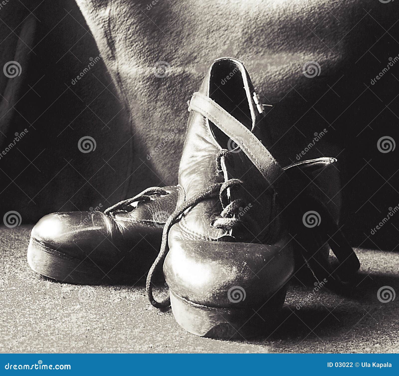 Stepping shoes stock photo. Image of shadow, laces, leather - 3022