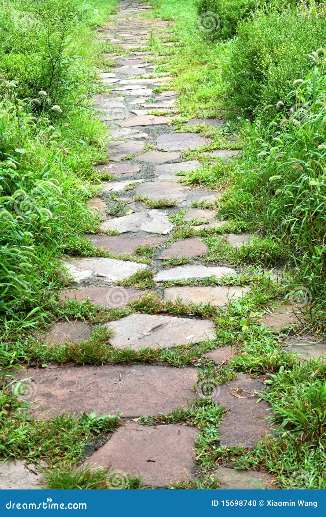 Stepping stone path stock photo. Image of cross, passage - 15698740