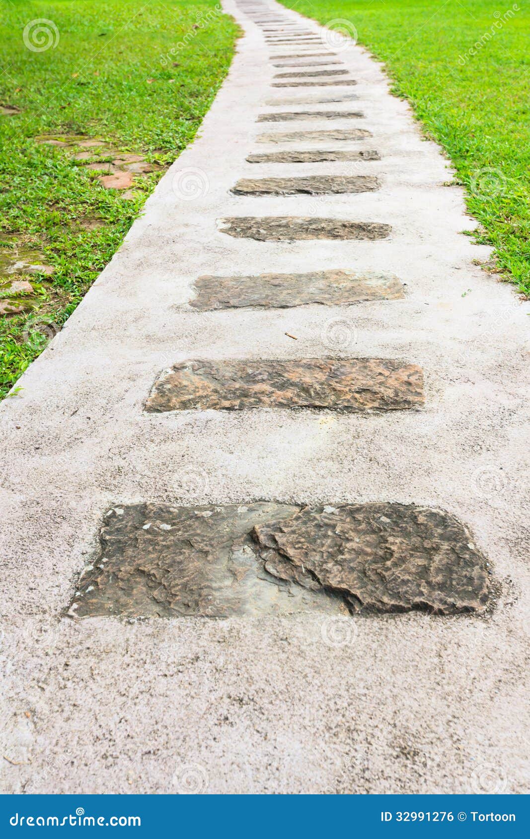 Stepping Stone Path stock photo. Image of lush, jungle - 32991276