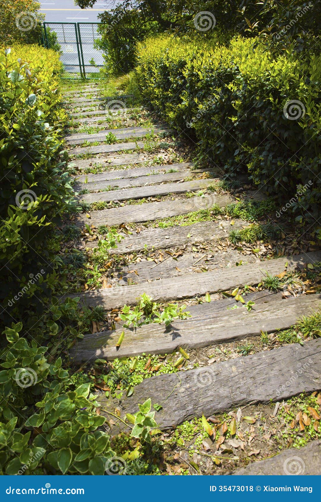 Stepping stone path stock photo. Image of cross, culture - 35473018
