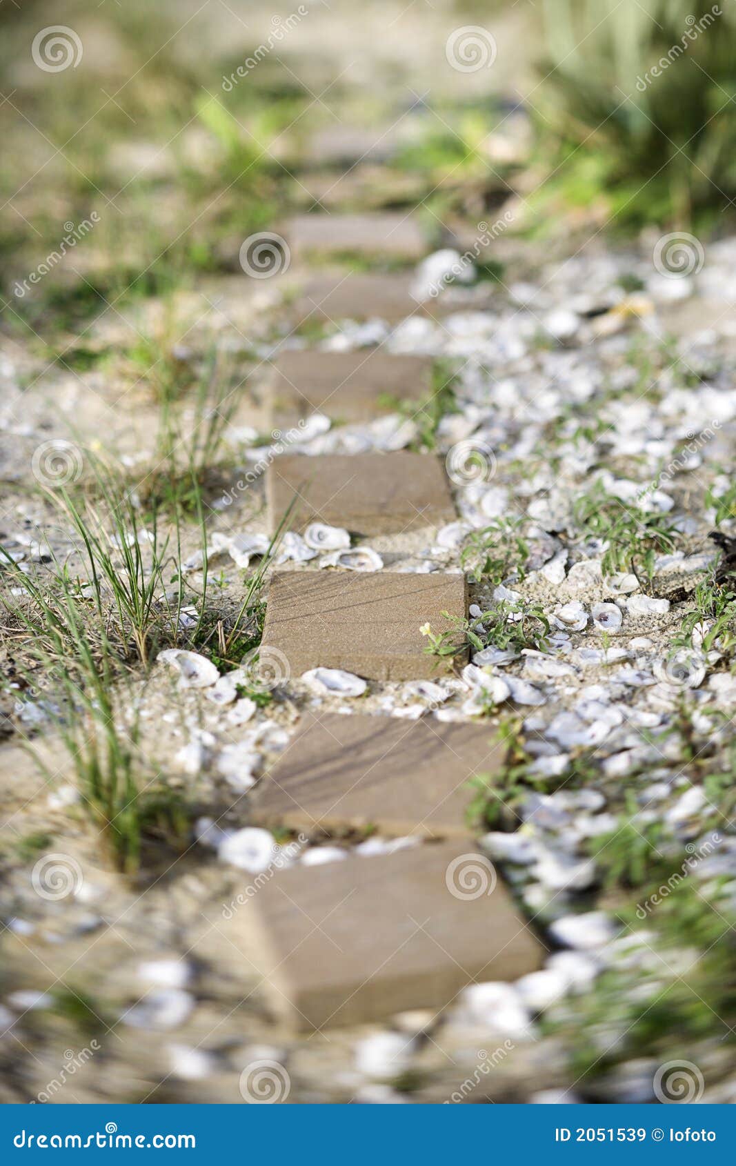 Stone Pathway Texture Stock Photography | CartoonDealer.com #66647336