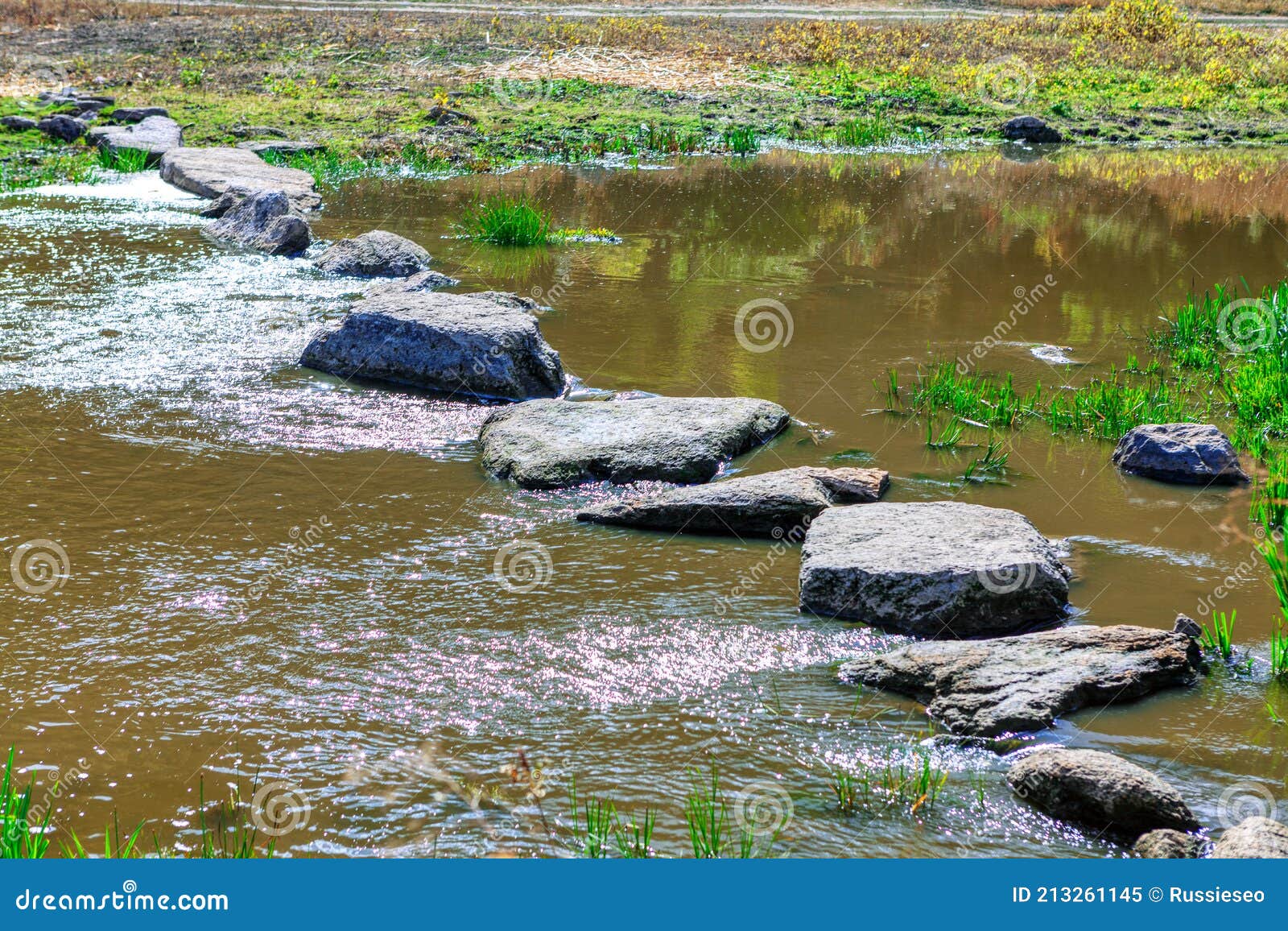 Stepping stone stock image. Image of flux, leisure, passing - 213261145