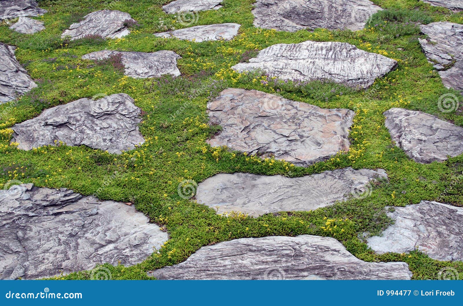 Stepping Stones stock image. Image of background, slate - 994477