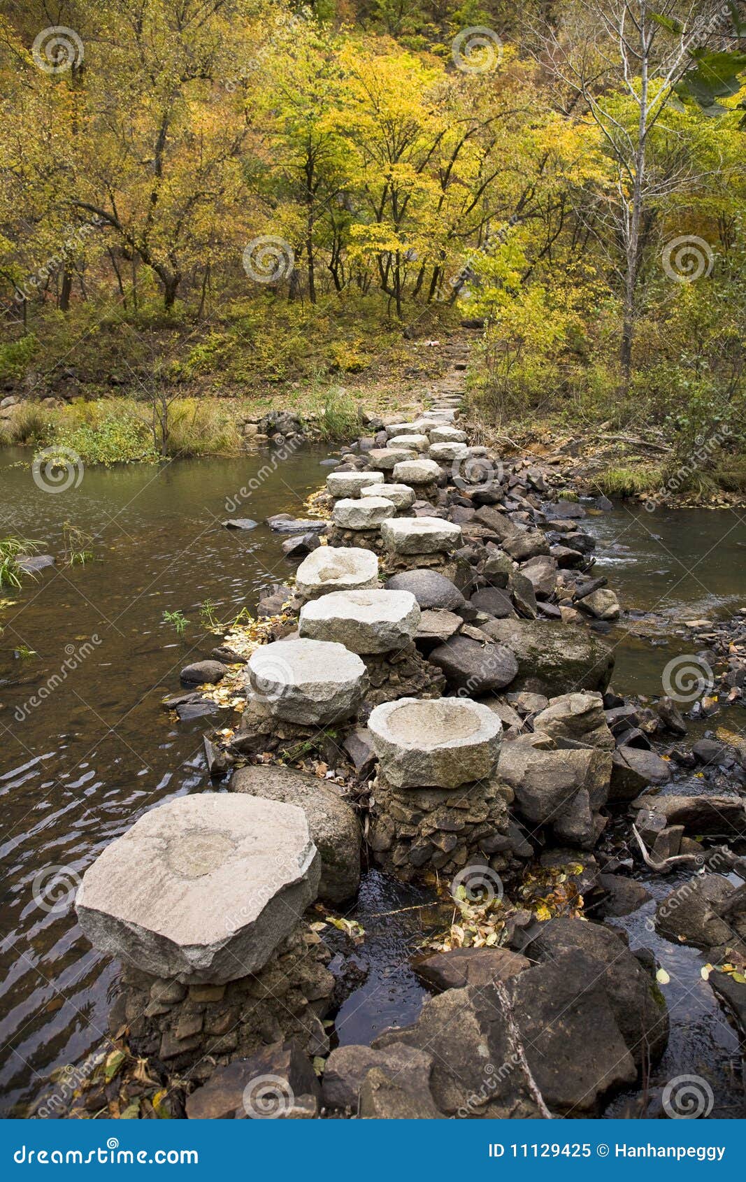 Stepping Stones in Autumn Forest Stock Image - Image of footpath ...
