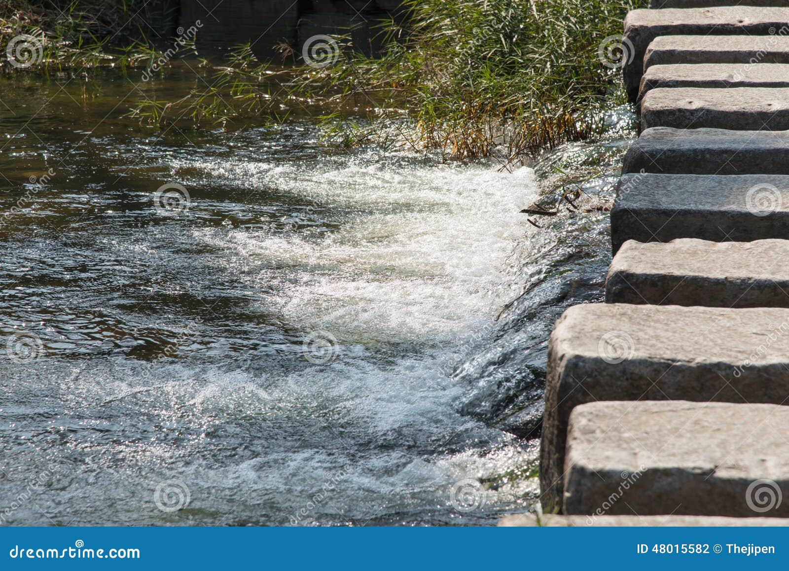 Stepping Stones Cross Over a Stream Stock Photo - Image of nature ...