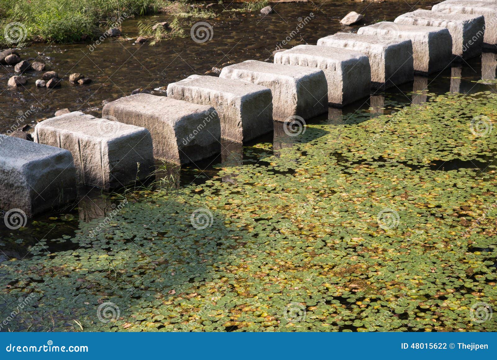 Stepping Stones Cross Over a Stream Stock Photo - Image of abstract ...