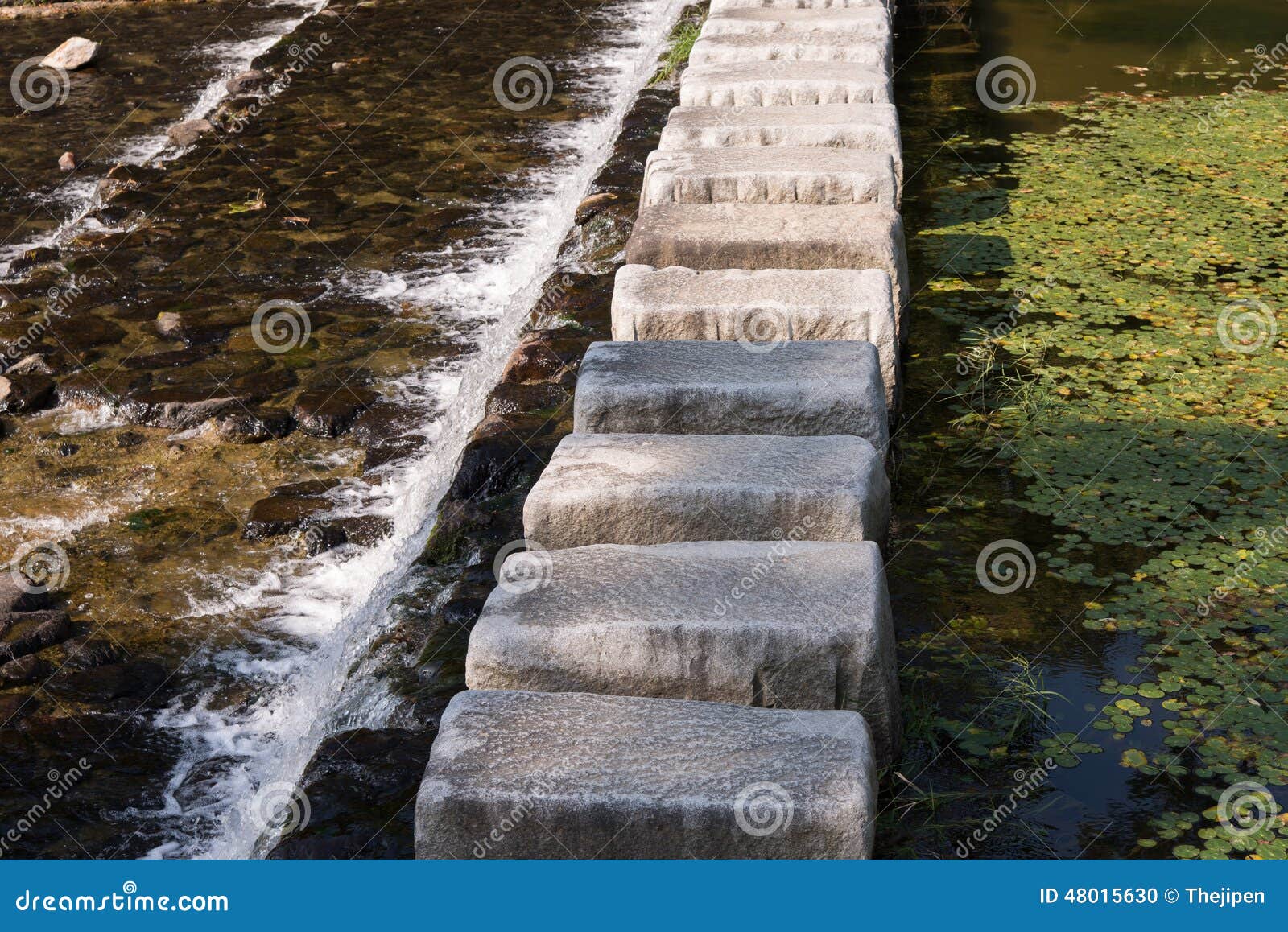 Stepping Stones Cross Over a Stream Stock Photo - Image of pond, nature ...