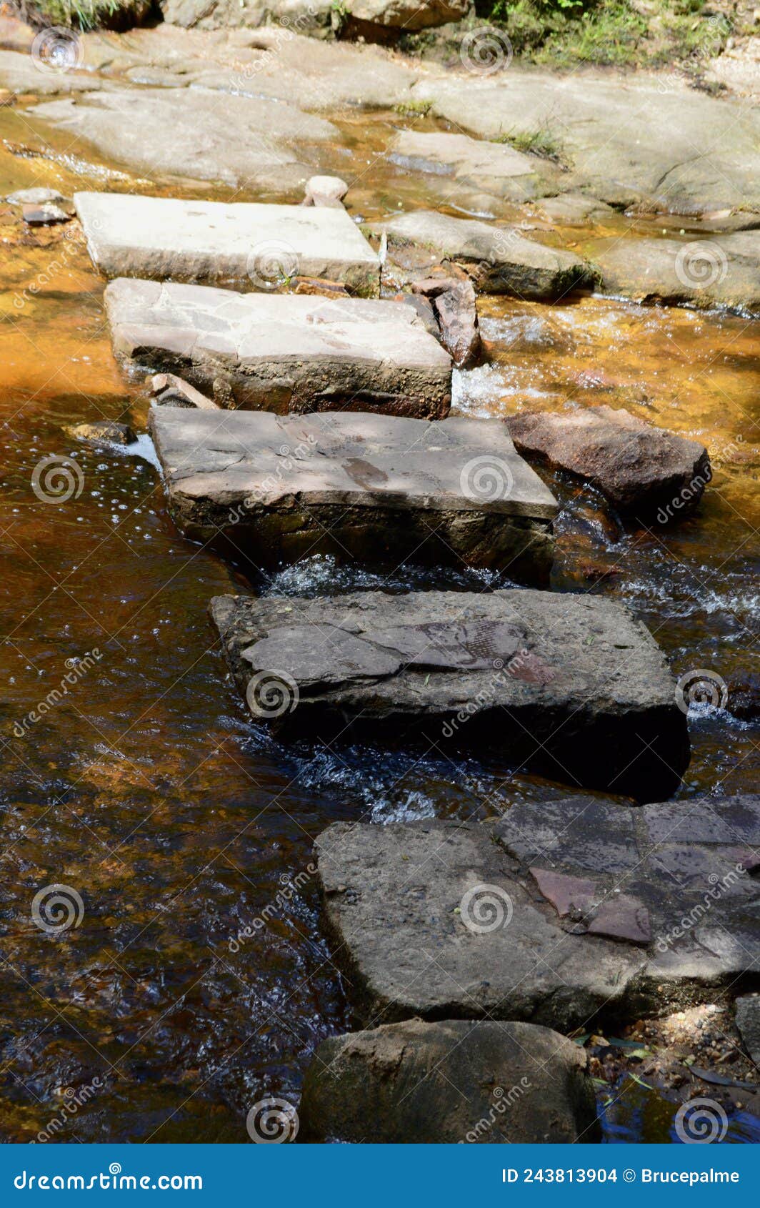 Stepping Stones Over a Stream in the Forest Stock Photo - Image of moss ...