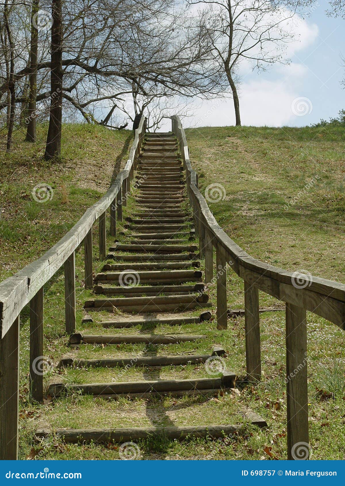 Stepping up to Nature stock image. Image of wooden, outside - 698757