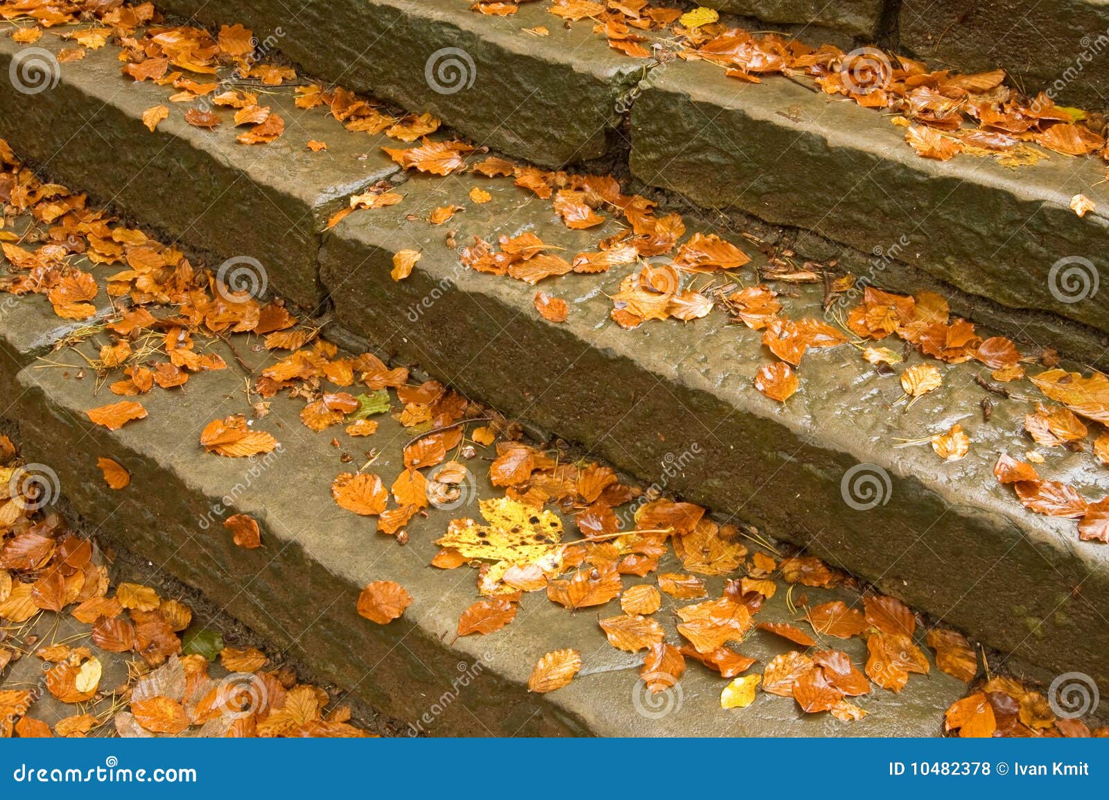 Steps stock photo. Image of walkway, walking, staircase - 10482378