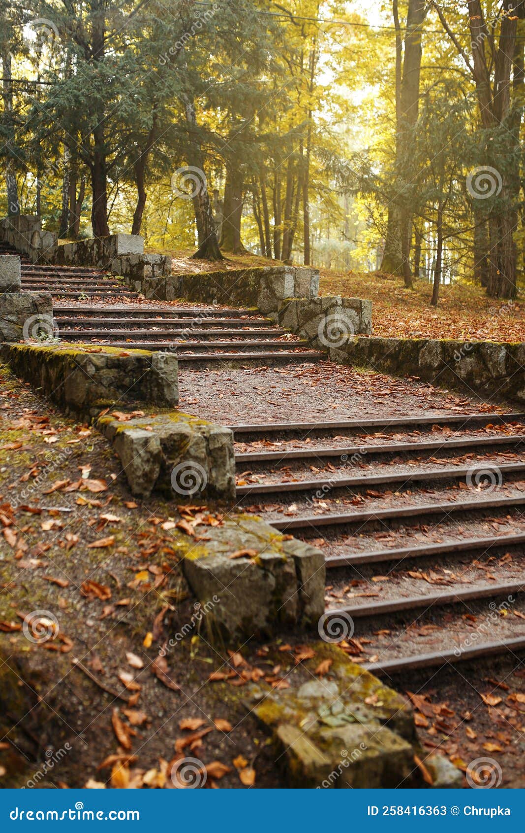 Steps in the autumn park stock image. Image of covered - 258416363