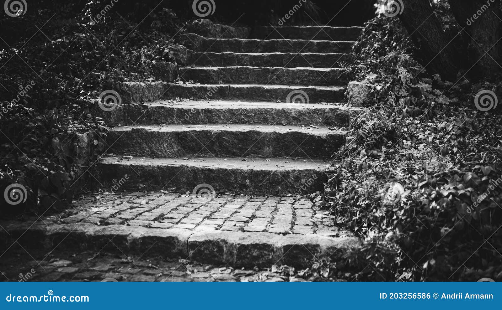 Steps, Black and White Picture of Steps in the Castle. Stock Photo ...