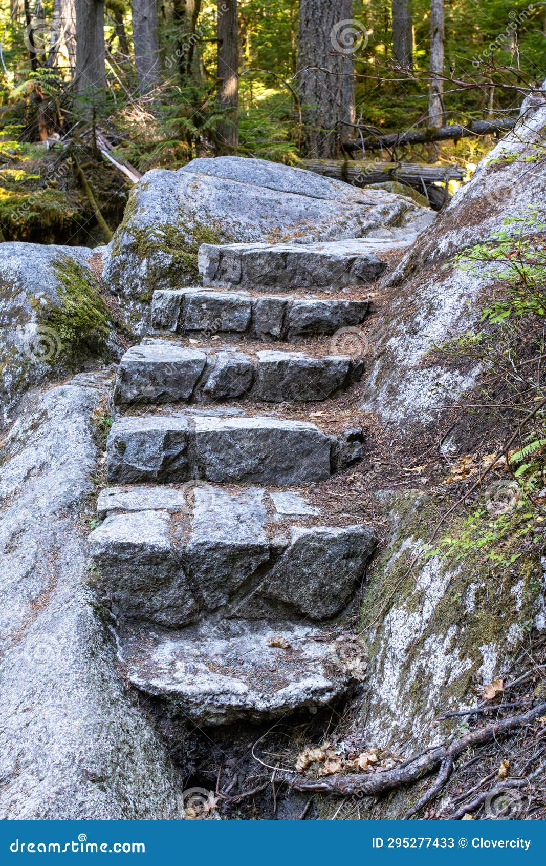 Steps Carved in Stone on a Pathway Stock Image - Image of path, woods ...