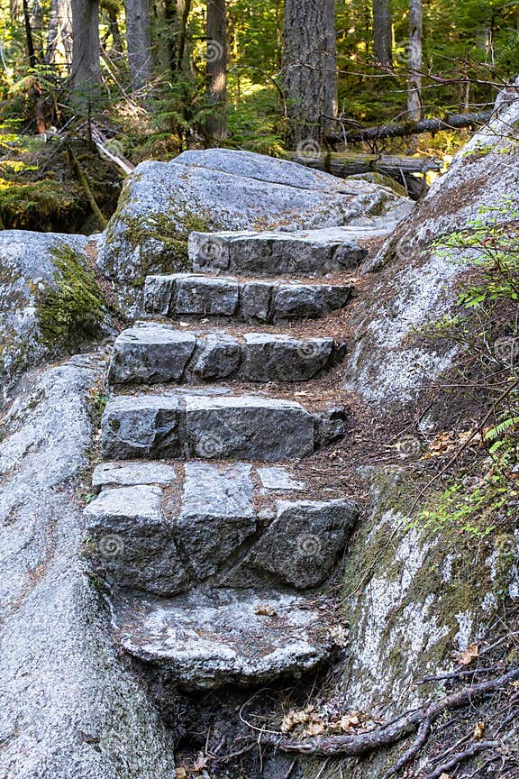 Steps Carved in Stone on a Pathway Stock Image - Image of path, woods ...
