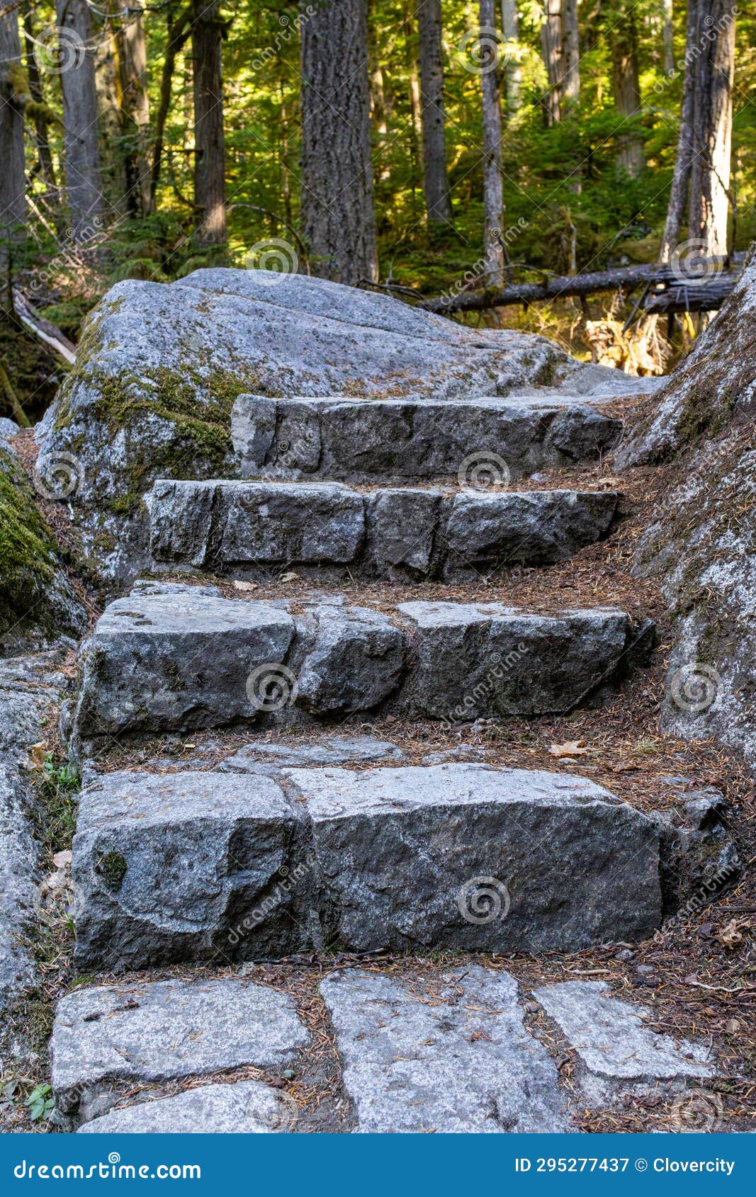 Steps Carved in Stone on a Pathway Stock Image - Image of path, park ...