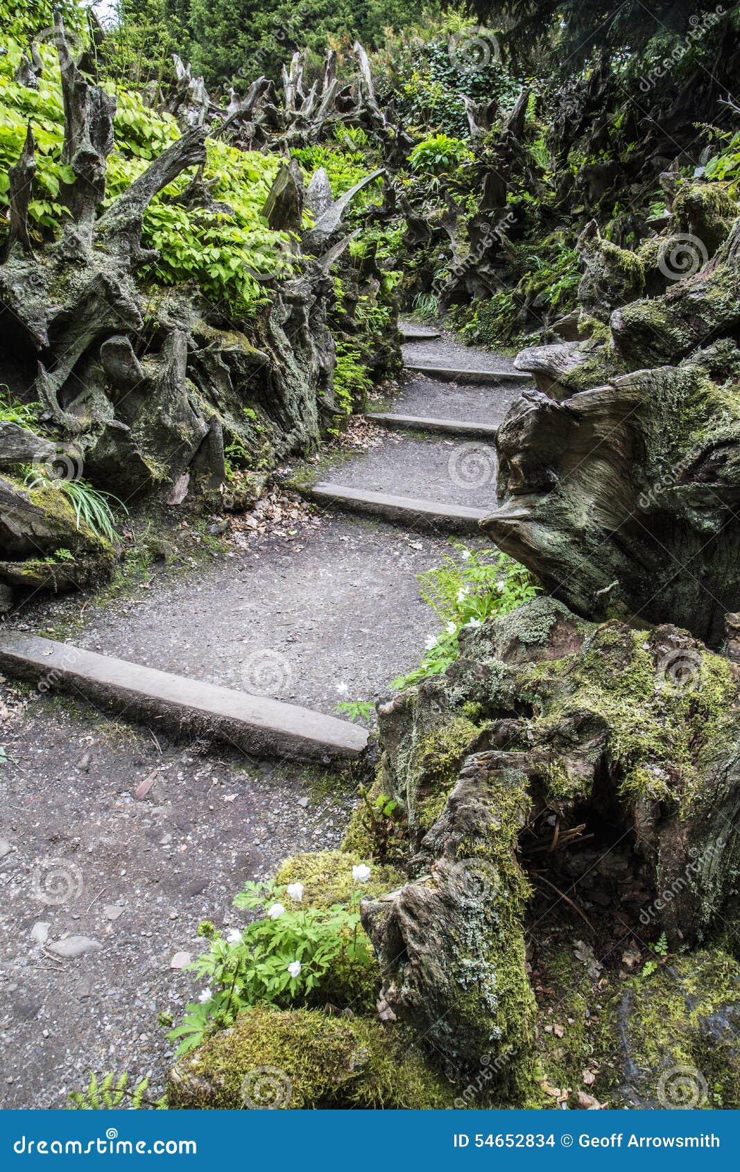 Steps Down Stumpery Stock Photos - Free & Royalty-Free Stock Photos ...