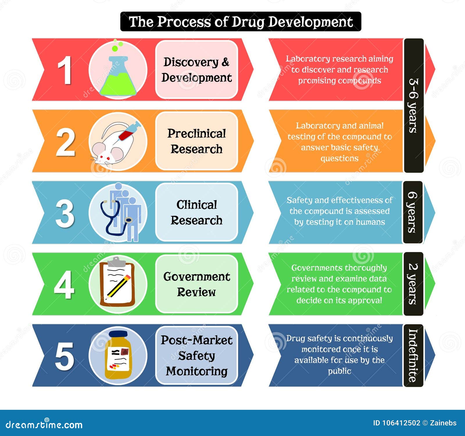 Steps Of Drug Development With Details Stock Illustration