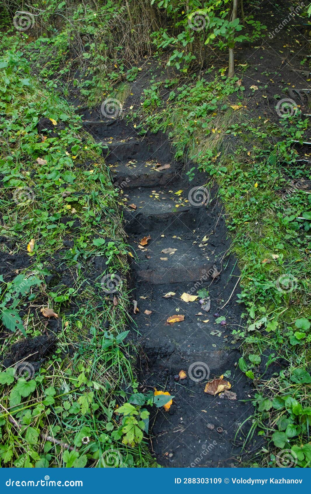 The Steps are Dug into the Black Soil on the Path or in the Garden ...