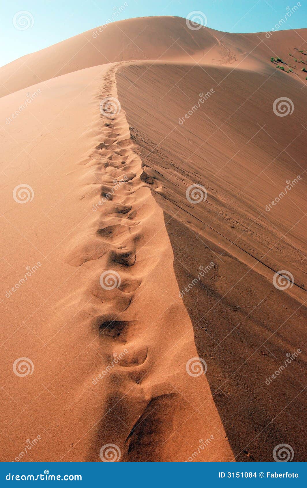 Steps on the dune stock photo. Image of step, namibia - 3151084