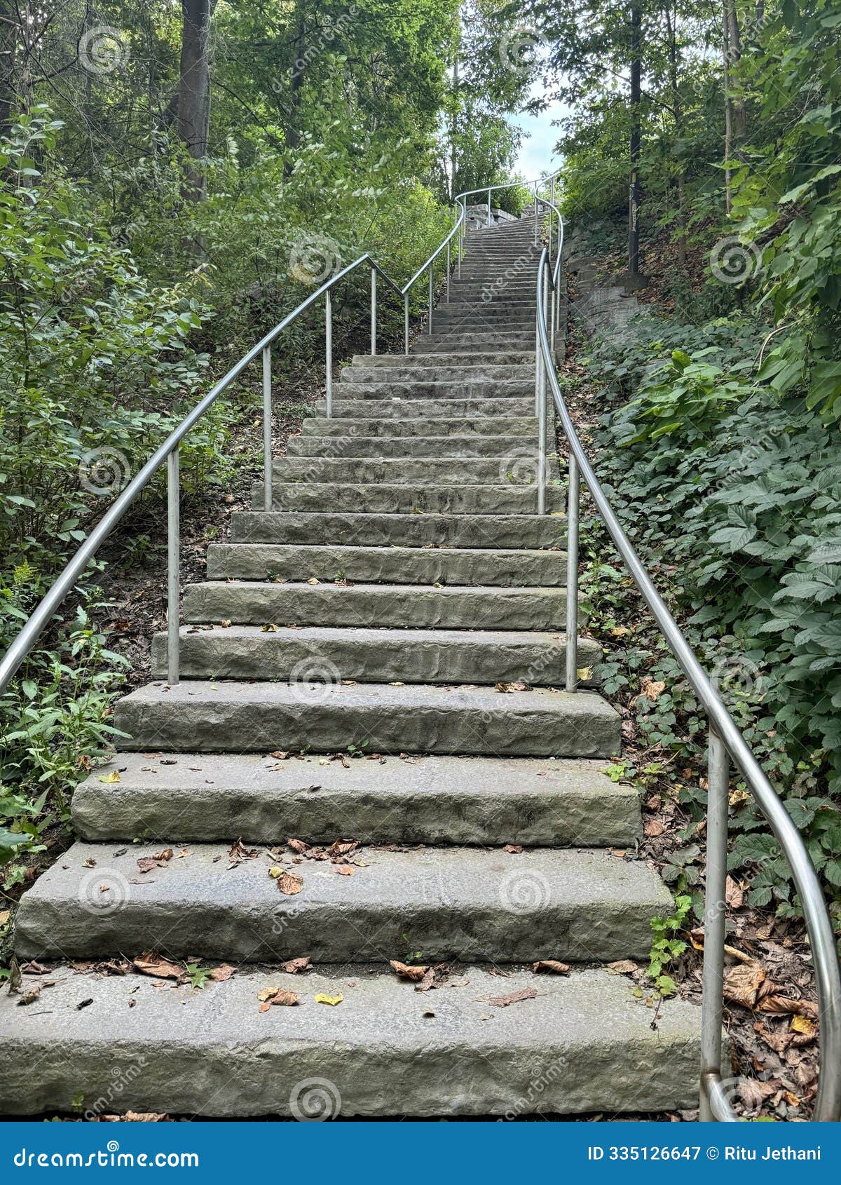 Steps at Fall Creek Suspension Bridge in Ithaca, New York Stock Image ...