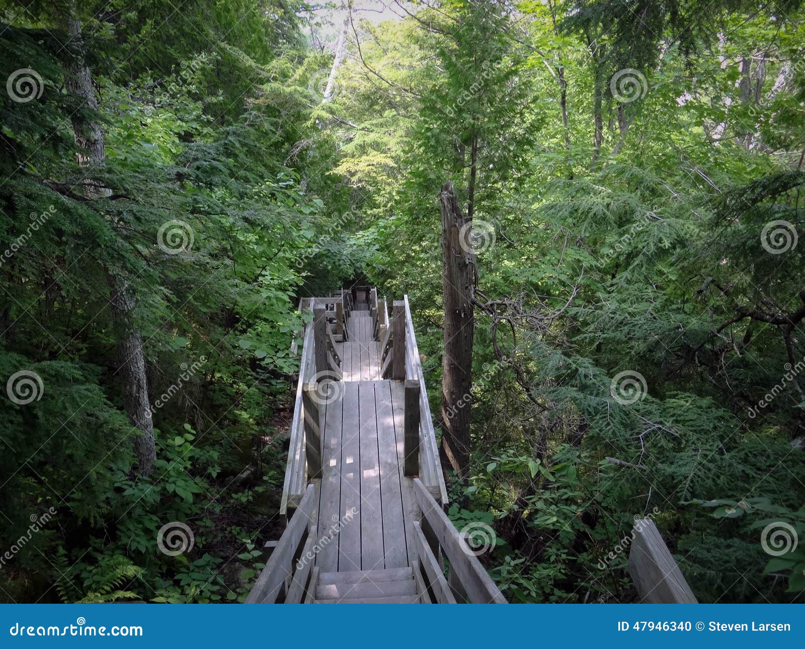 Steps from Fire Tower stock photo. Image of cloud, season - 47946340